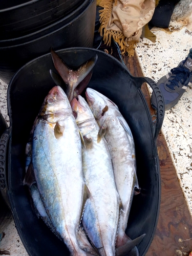 La Junta recupera el arte de pesca moruna para su calado del revés en ...